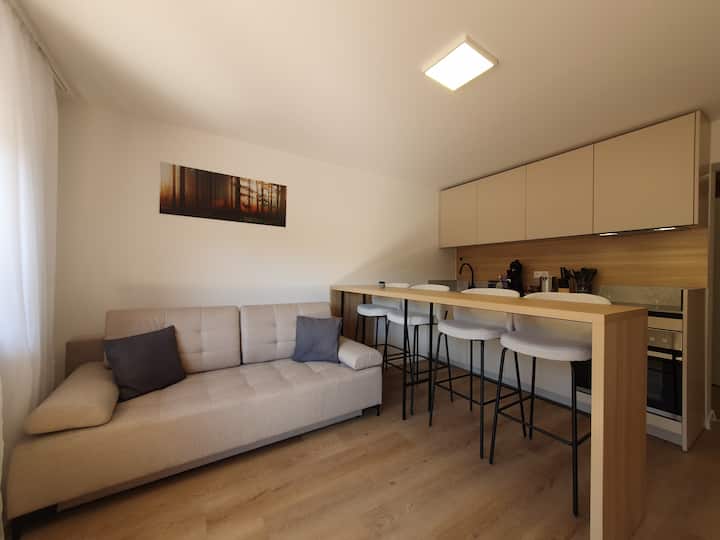 Zartenbach Suite Two - Hinterzarten