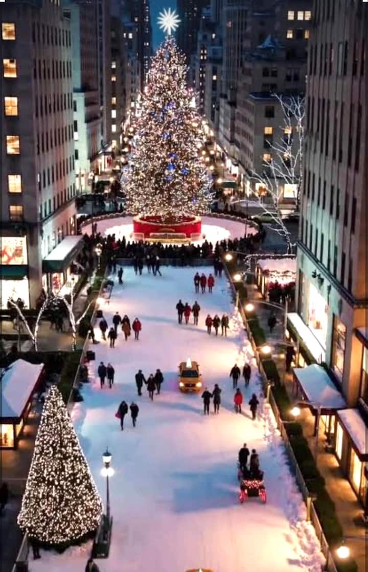 Ease, Excellence In The Bronx - The Bronx, NY