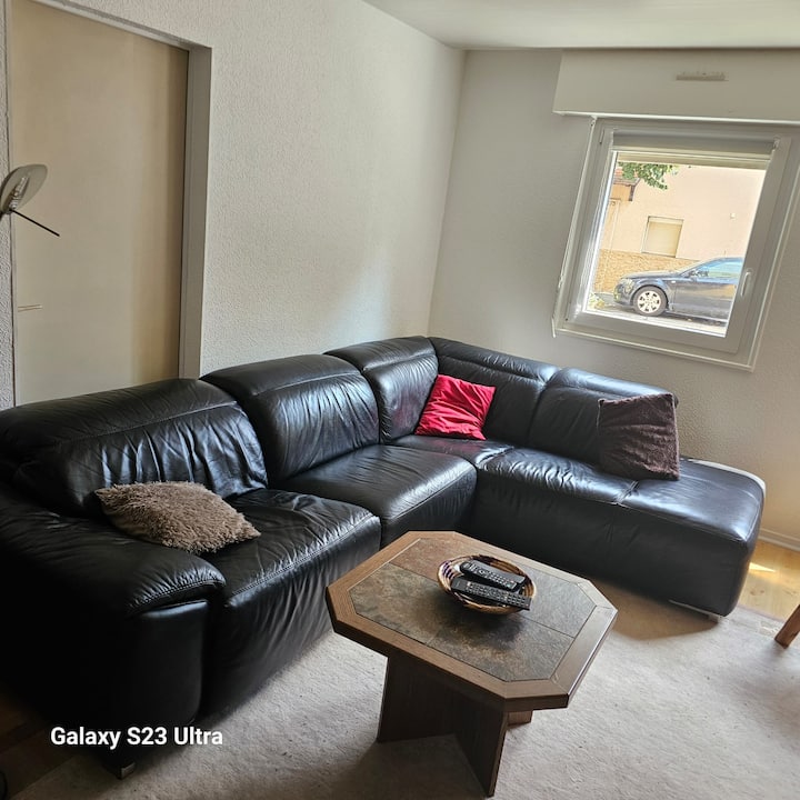 Bel Appartement - Sarreguemines
