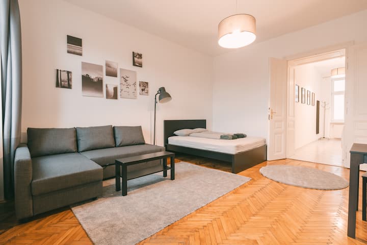 Comfortable Central Apartement - Vienna