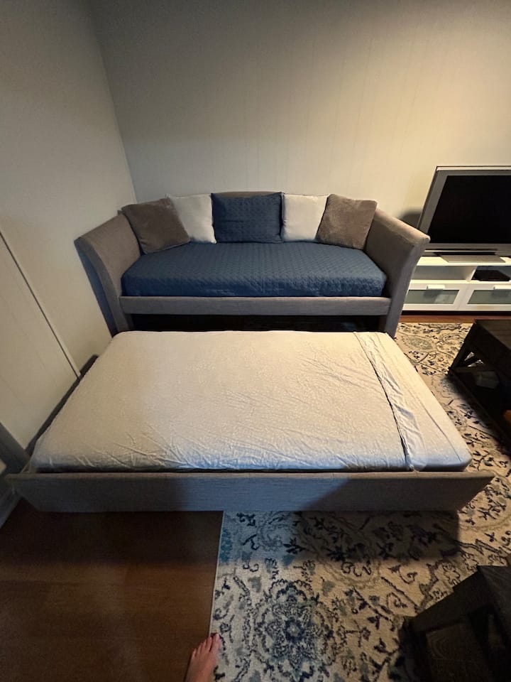 Private Basement Studio - Virginia