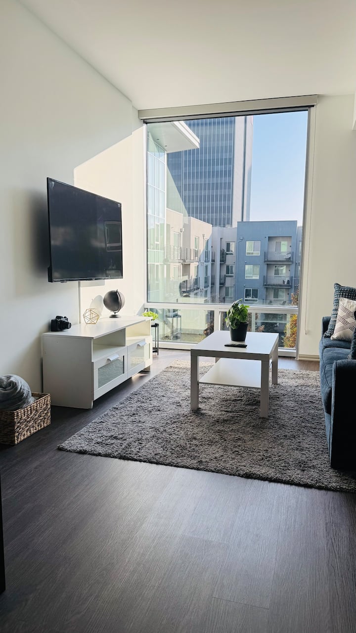 Modern 1bd Hollywood Apt - Valley Village - Los Angeles