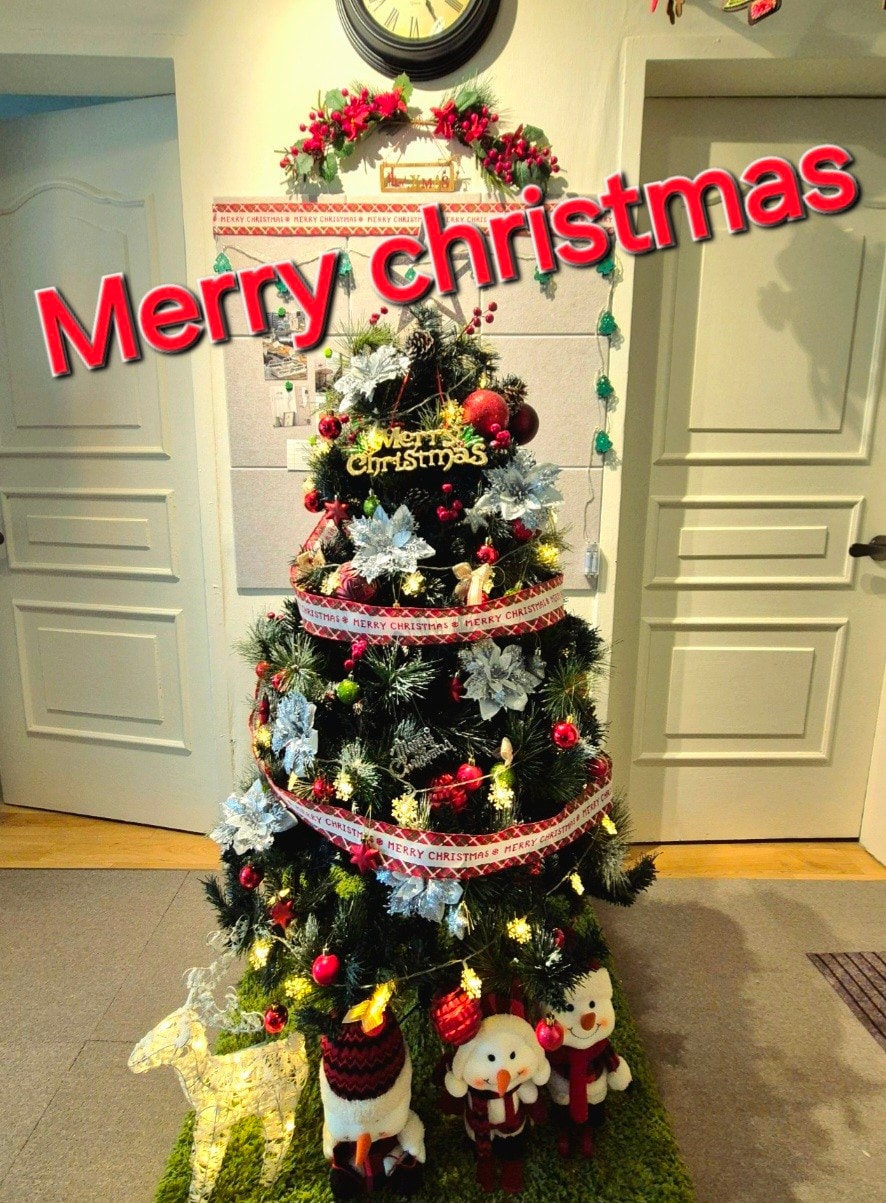 Nature House Die beste Unterkunft in Itaewon, im Herzen von Seoul #Mr ...