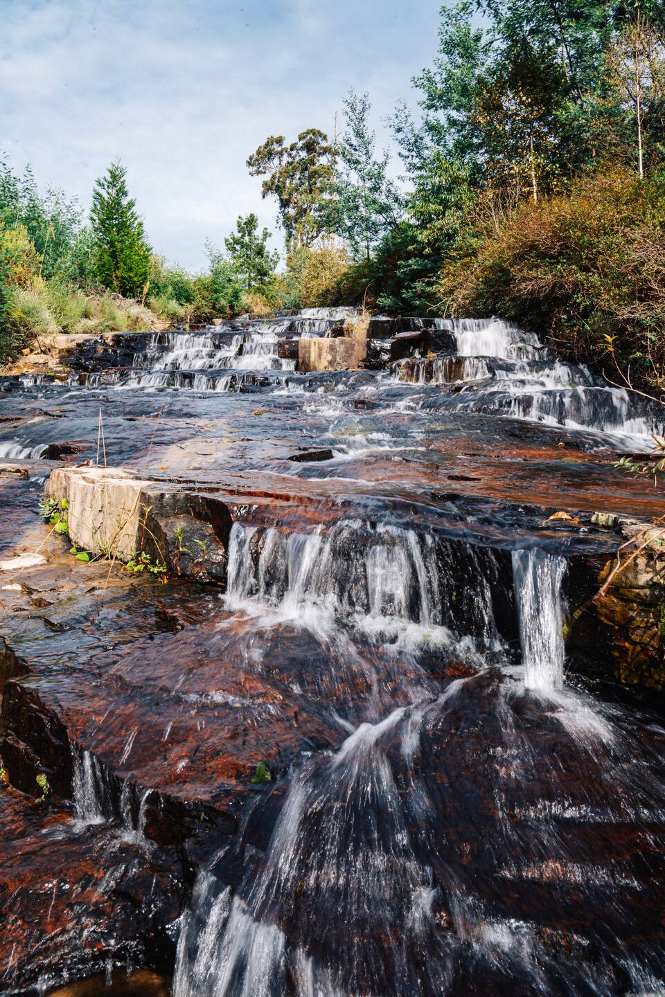Hogsback Vacation Rentals | Airbnb
