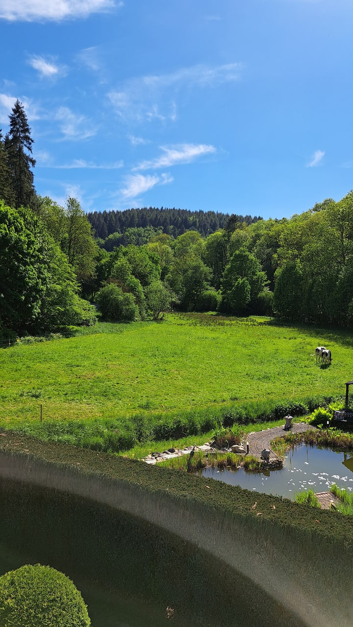 El Mirador - Ferienwohnung Nähe Nürburgring Eifel - Spessart