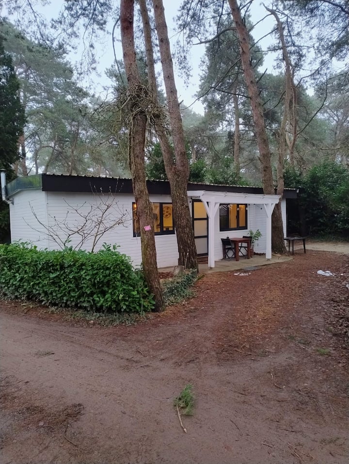 Sfeervolle Bungalow "Huisje 212" - Mol