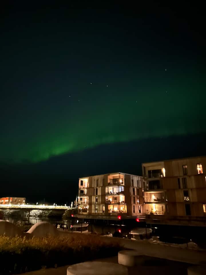 Leilighet På Grilstad Marina - Trondheim