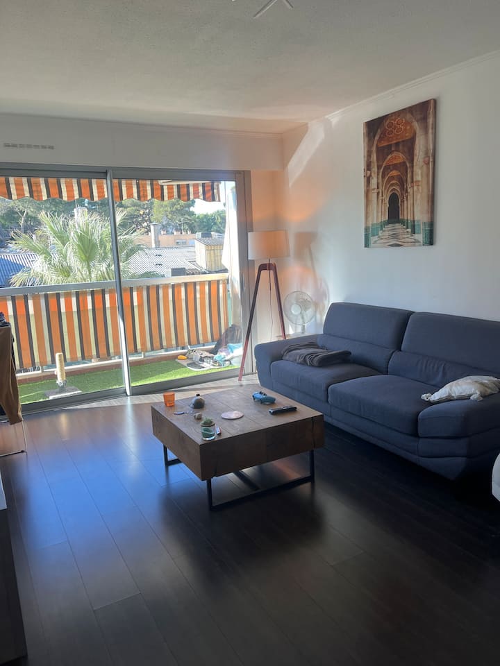 Appartement 50 M²,
Idéal, Congrès Et Vacances - Mandelieu-la-Napoule