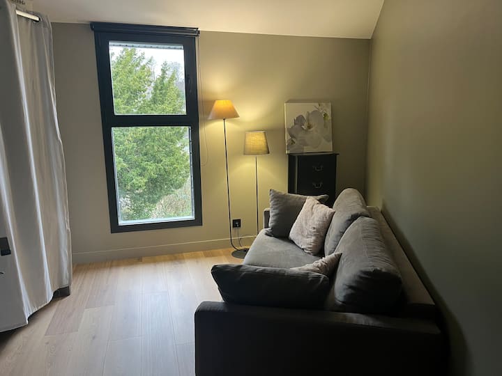 Chambre Avec Sdb Et Wc Privés - Bois-Guillaume