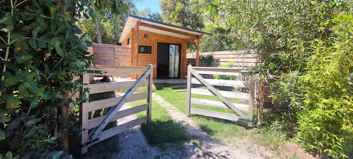 Casita De Playa La Mandarina - Punta Colorada