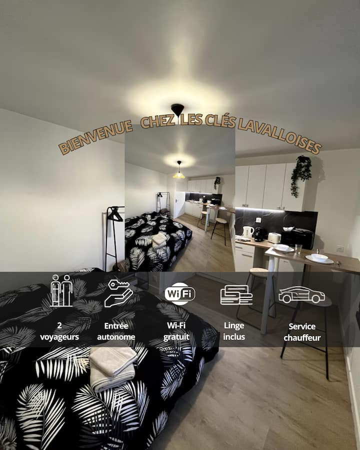 Appartement Cosy En Hyper Centre - Laval, France