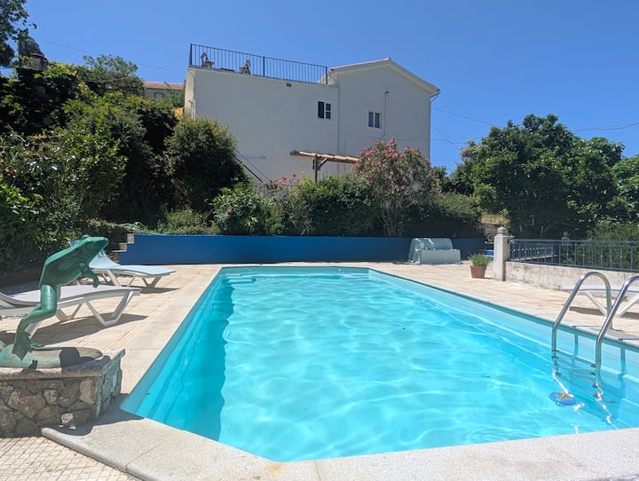 Peaceful Private Pool Villa In Central Portugal - Figueiró dos Vinhos
