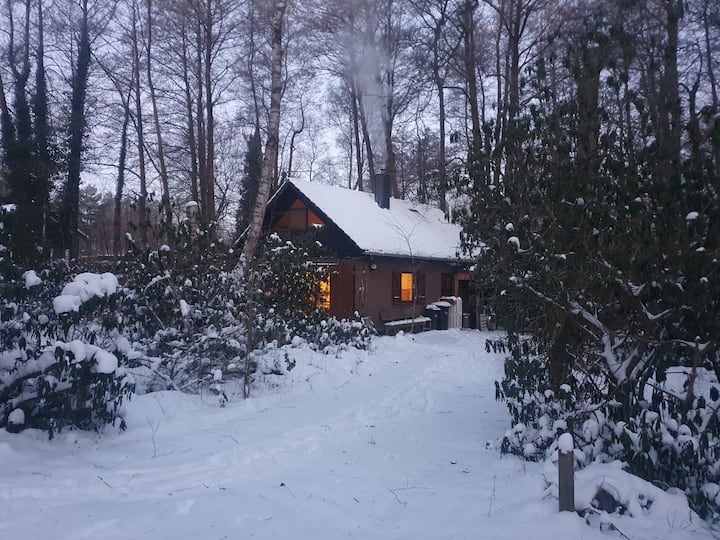 Auszeit Im Moor - Osterholz-Scharmbeck