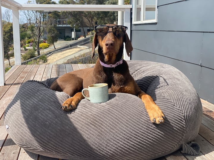 Beach, Pets Ok,mind Blowing 180ocean View!sthelens - St Helens