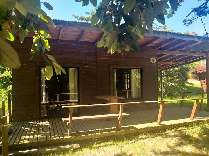 1 - Lago Ranco