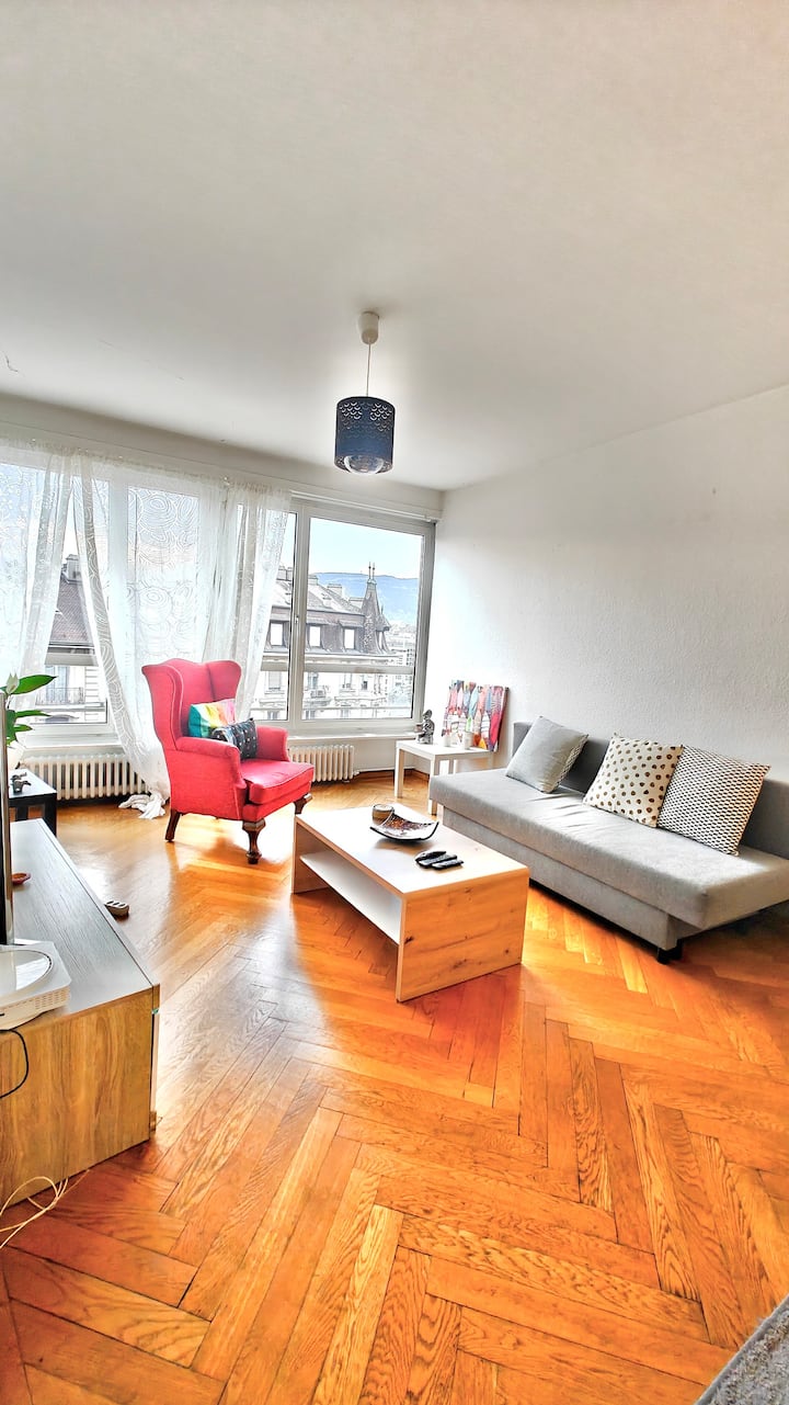 2 Bedroom Mountain View Apartment In City Centre - Genève