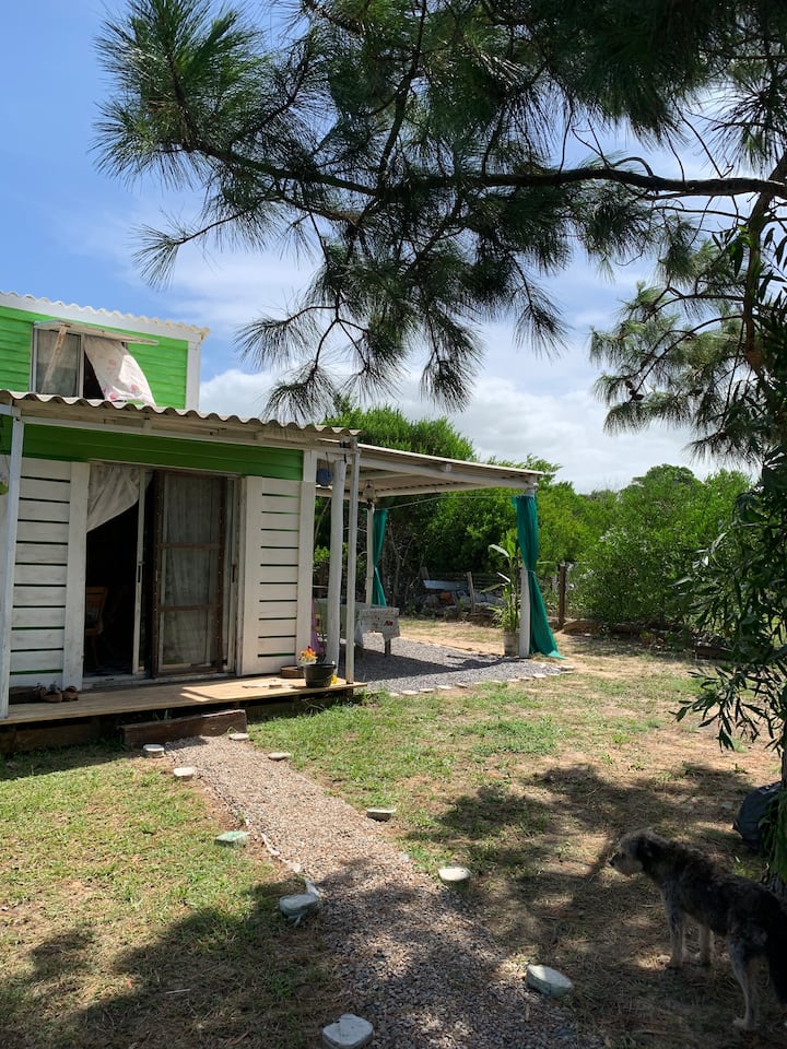 La Casita Verde - Chuy