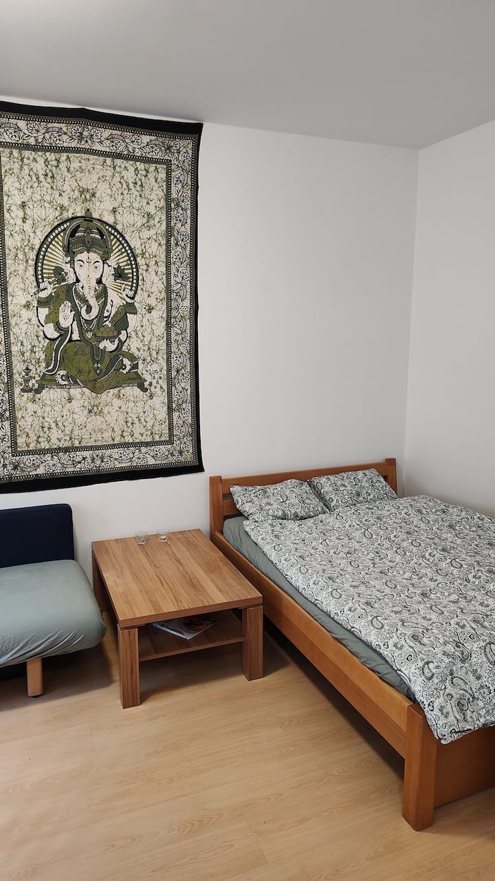 Ganéša: Byt S Parkováním Zdarma Wi-fi/pračka/myčka - Brno