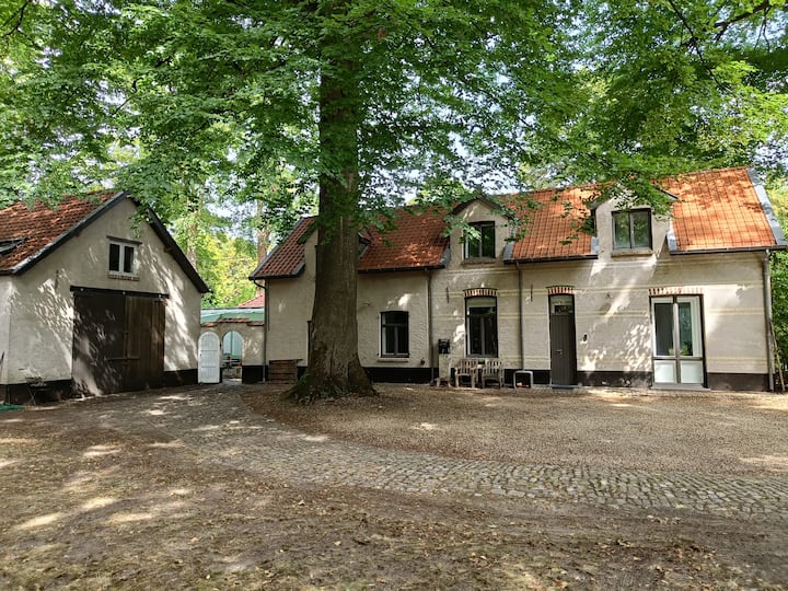 De Steeg - Kalmthout