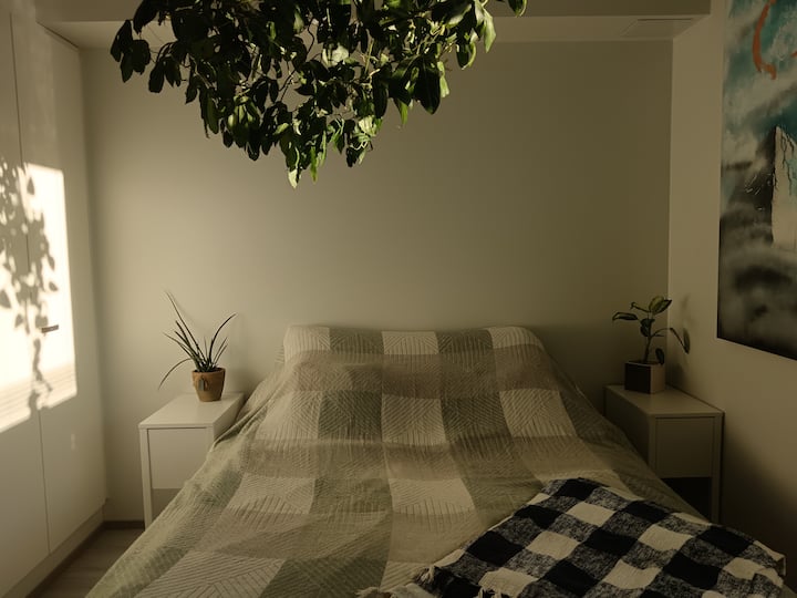 King's Oak Jungle - Helsinki