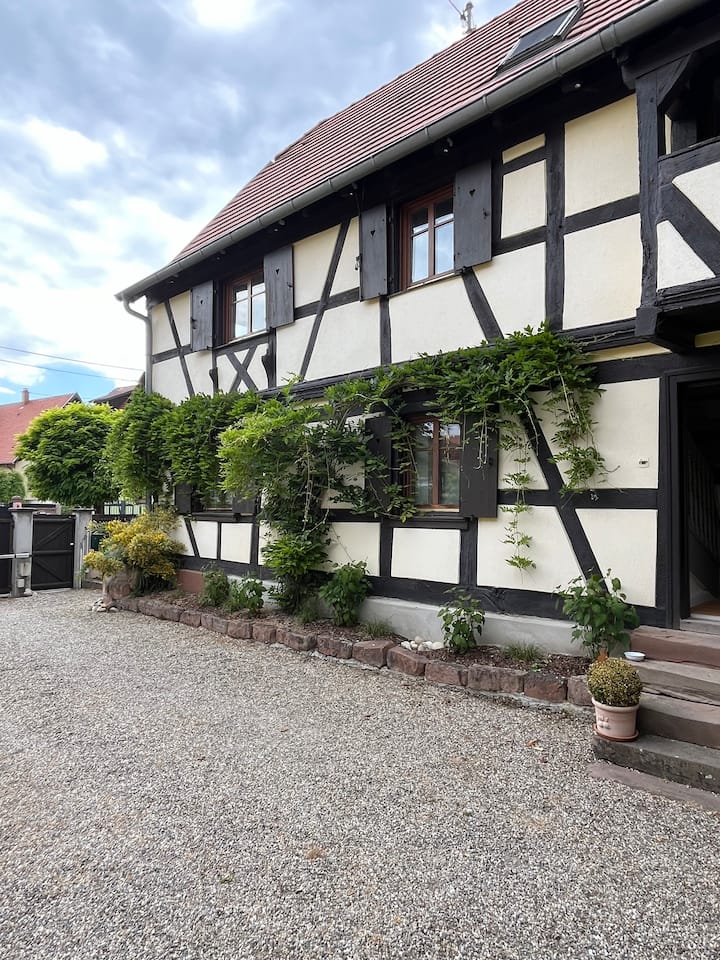 D'gelb'hüs - La Wantzenau