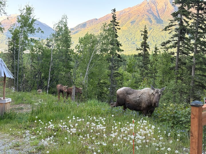 Cozy And Quiet Getaway - Anchorage, AK