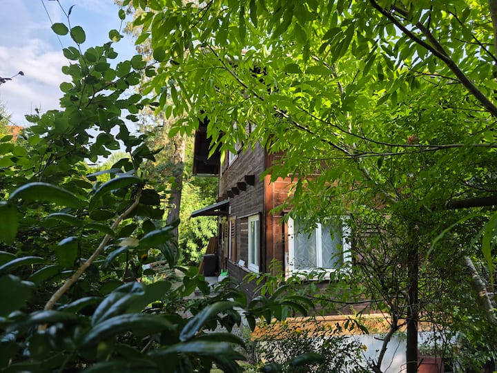 Holzhaus-flair Urig Und Zentral - Graz