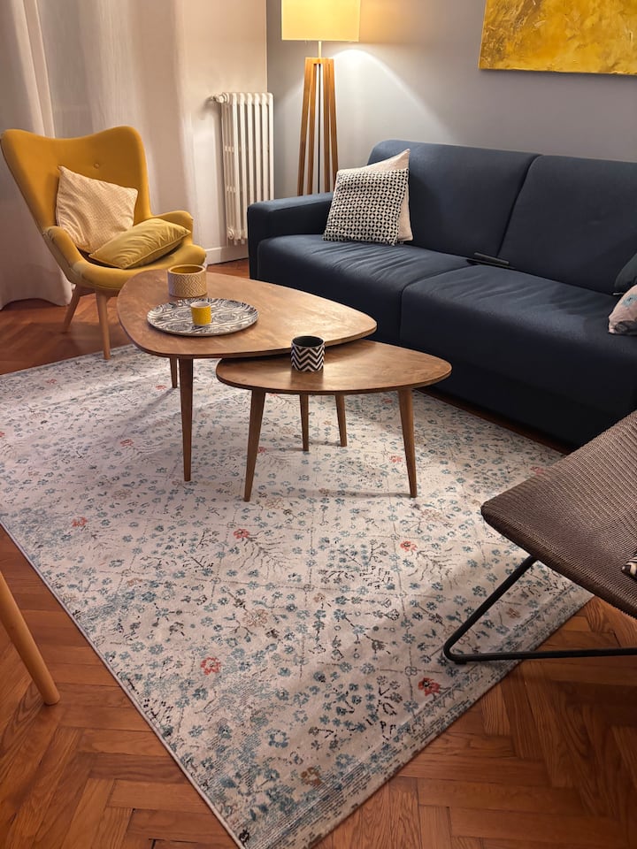 Rossini, Très Joli 2 Pièces - Musée Matisse, Nice