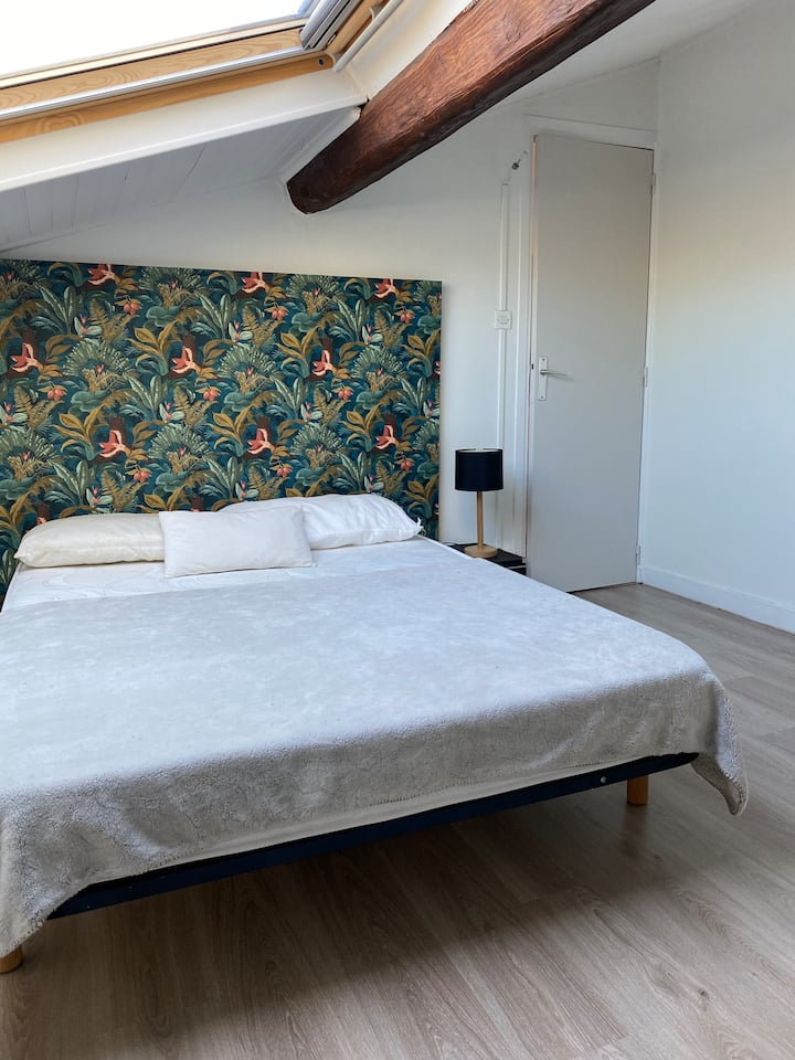 Charmant Appartement Avec Cachet - Nancy