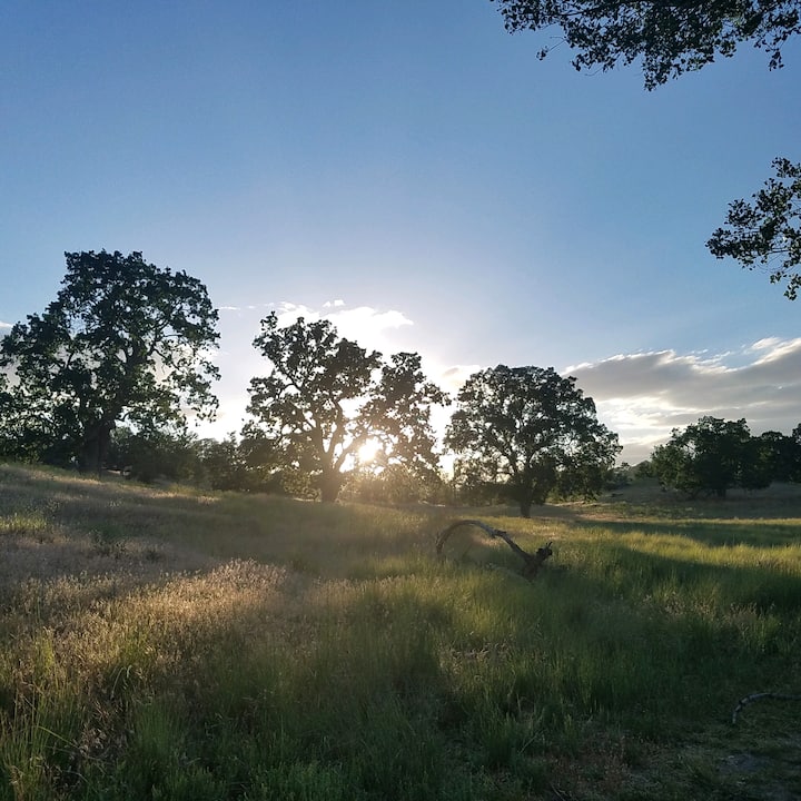 Private Cottage Quiet & Peaceful #1 - Tehachapi, CA
