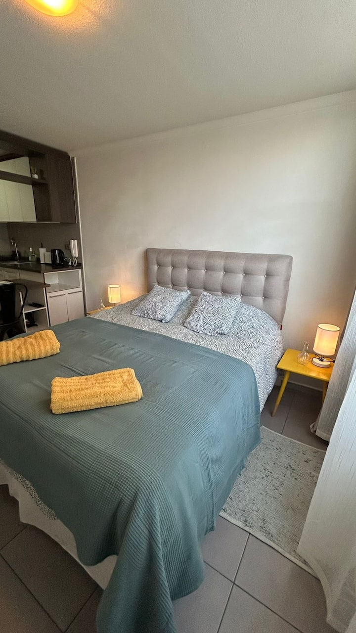 Departamento Barrio Italia Metro Santa Isabel Wifi - Santiago