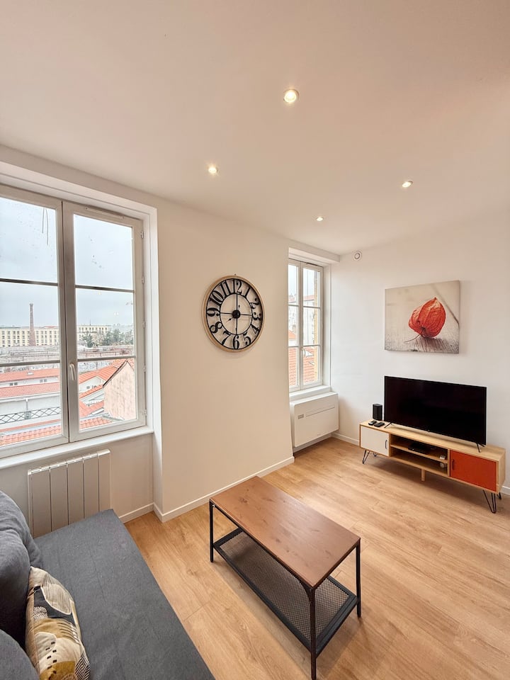 Charmant Appartement Proche De La Gare Part-dieu - Villeurbanne