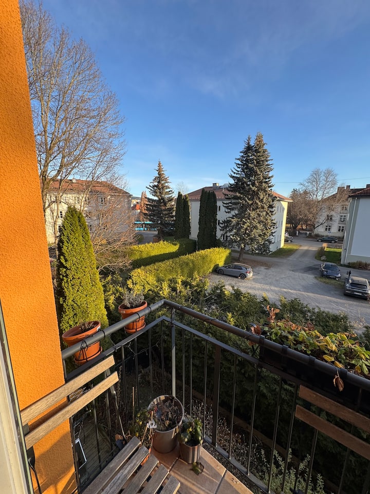 Skandinavisk Perle - Oslo - Oslo