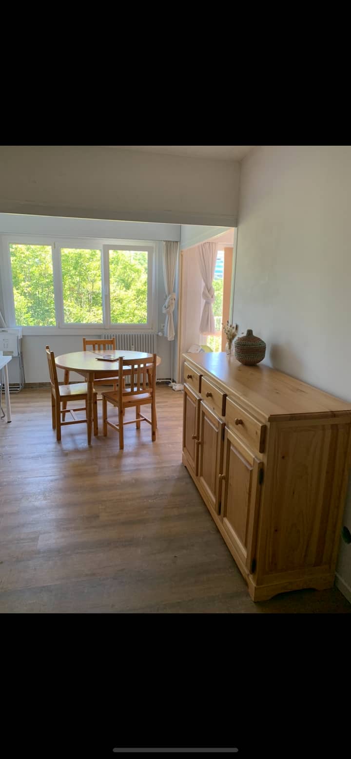 Appartement Nantais, 4 Chambres - Nantes