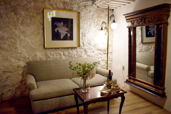 Casa Virreyes Gto Centro - Guanajuato