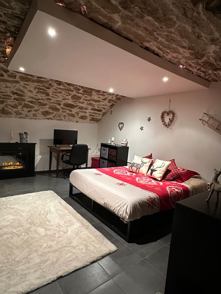 Chambre Cosy Avec Salon - Lyon
