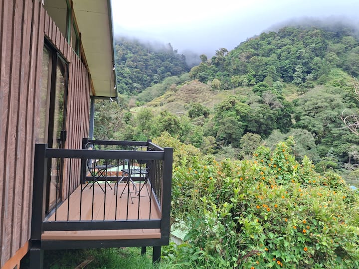 Tangara 6 - San Gerardo de Dota