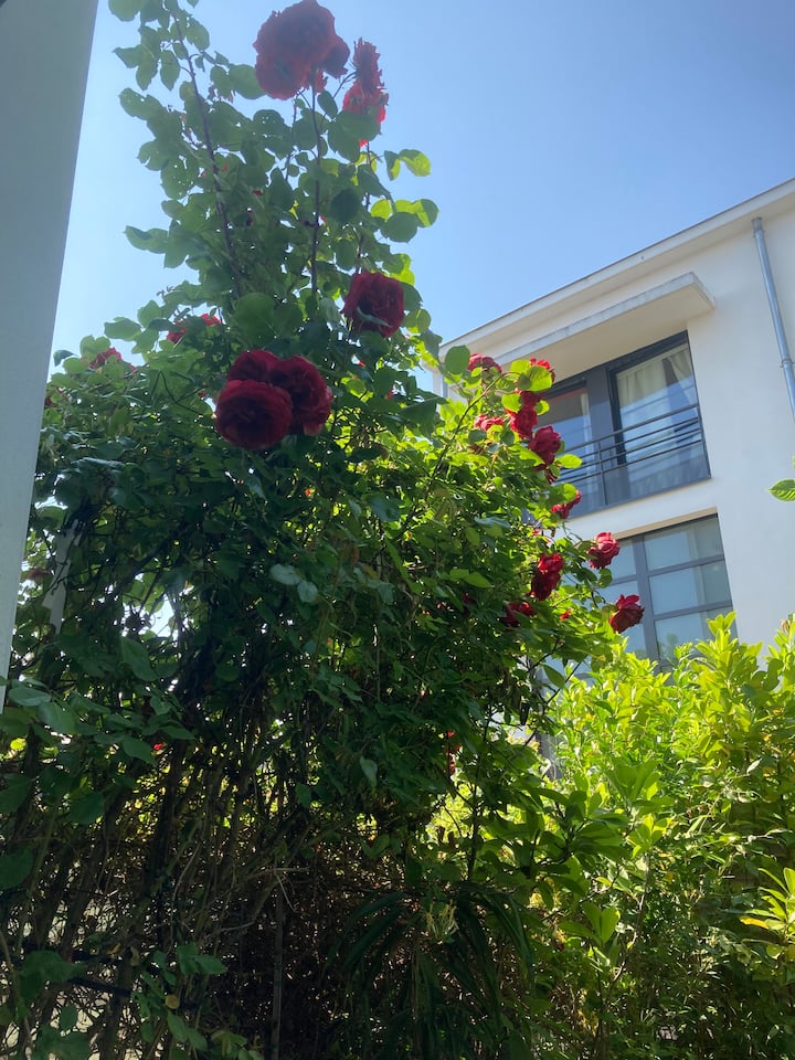 Loft, Train Direct Des Aeroports. Proximité A6. - Bagneux