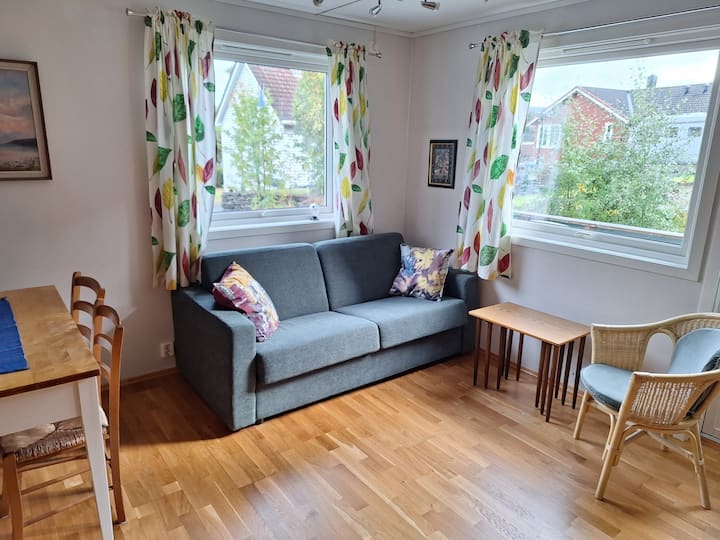 Praktisk Leilighet Nær Buss Til Sentrum. - Trondheim