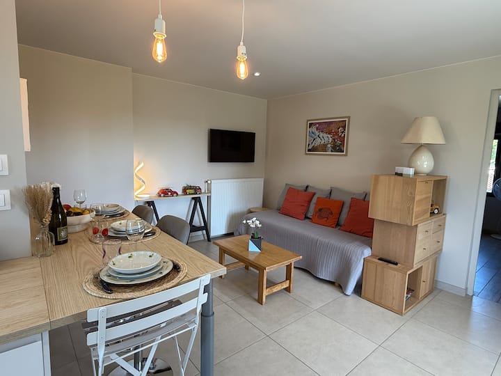 La Maison Aux Volets Rouges - Thoissey