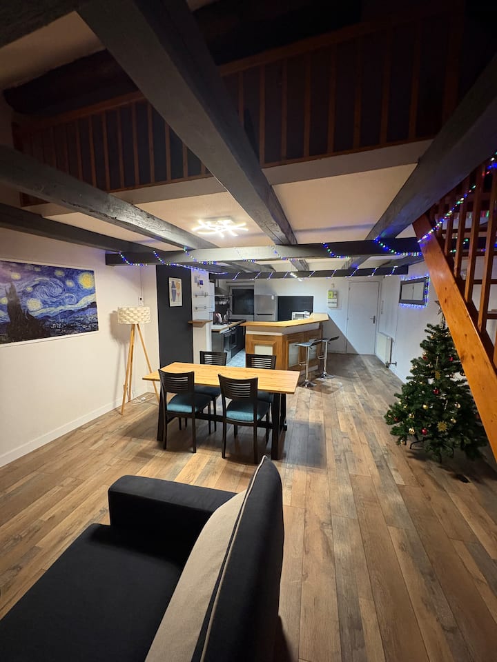 Appartement Cosy En Centre Ville - Montbéliard