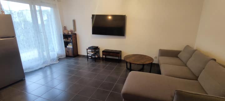 Appartement Rdj T2 39 M²+jardin - ibis Lyon Carre De Soie