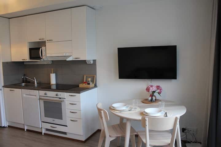Modern Studio Apartment - Rovaniemi
