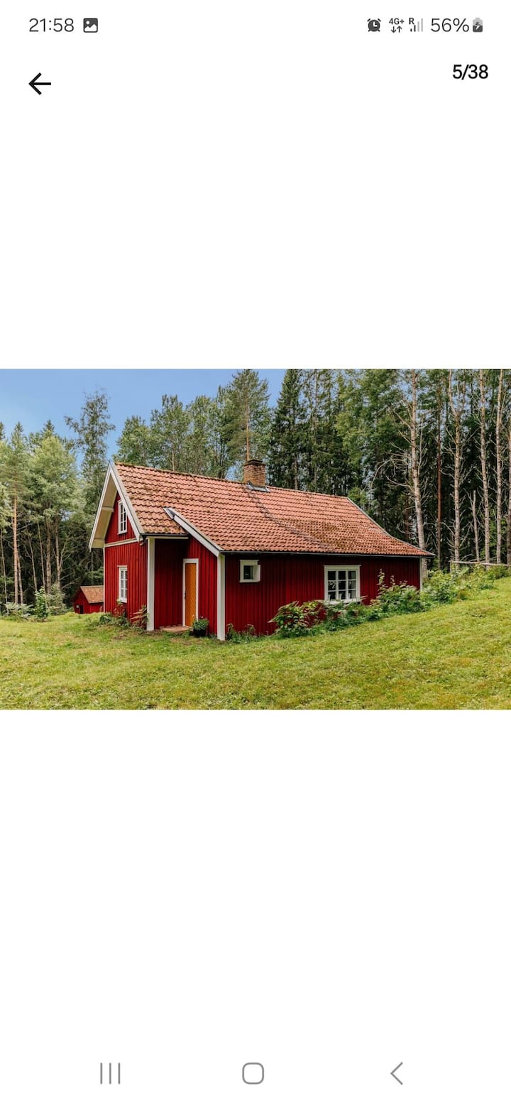 Off-grid Houten Huisje Midden In Het Bos - Karlsborg