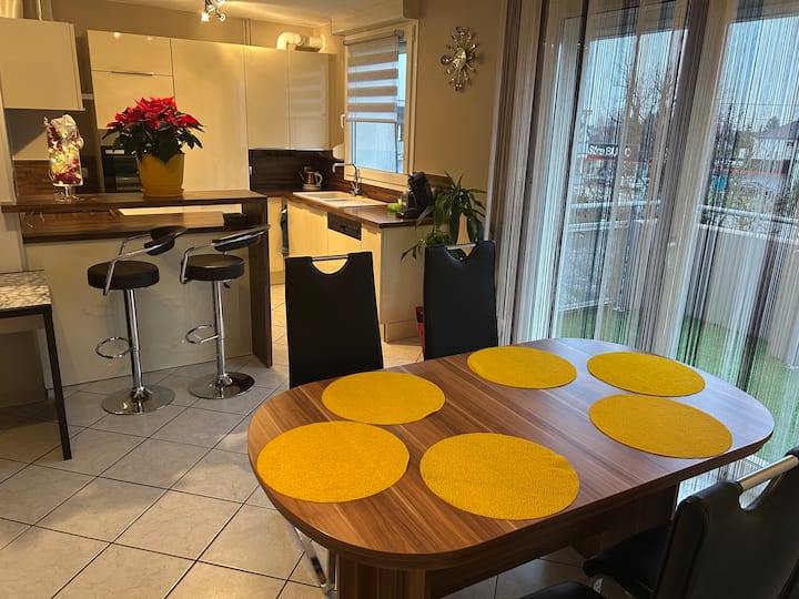 Appartement 2 Pièces Spacieux - Hœnheim