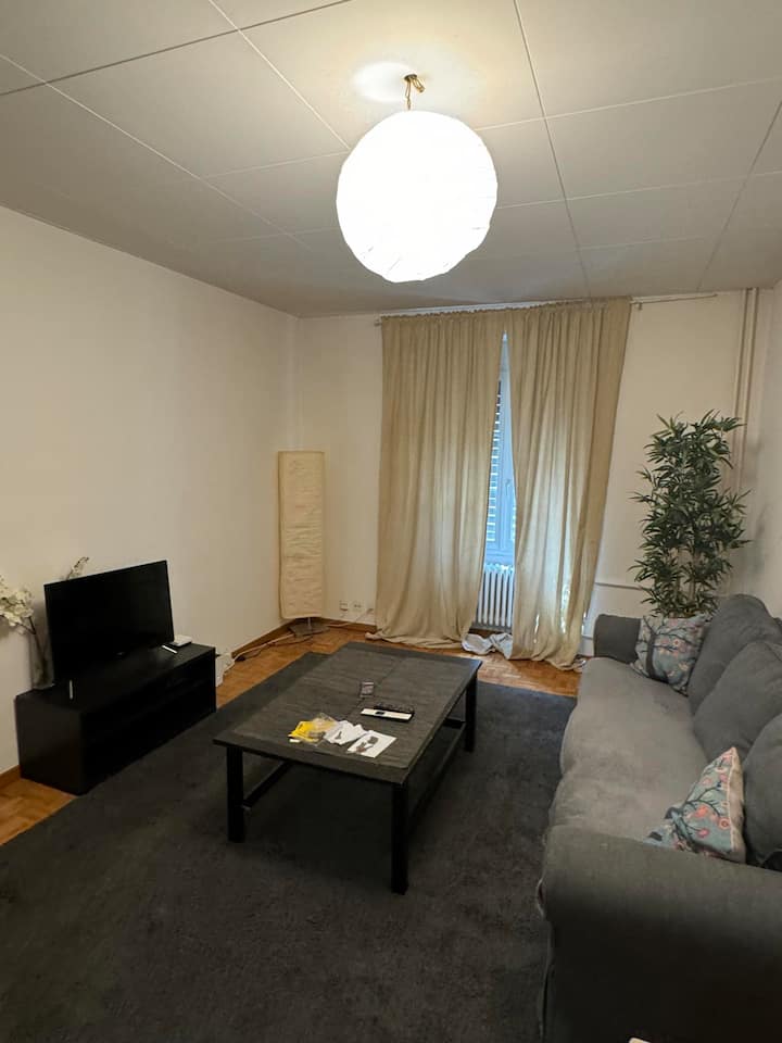 Bel Appartement Confortable - Geneva