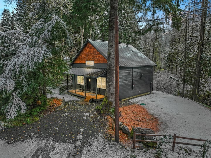 Dave's In Paradise @Mt. Rainier+hot Tub+ac+firepit - Ashford, WA