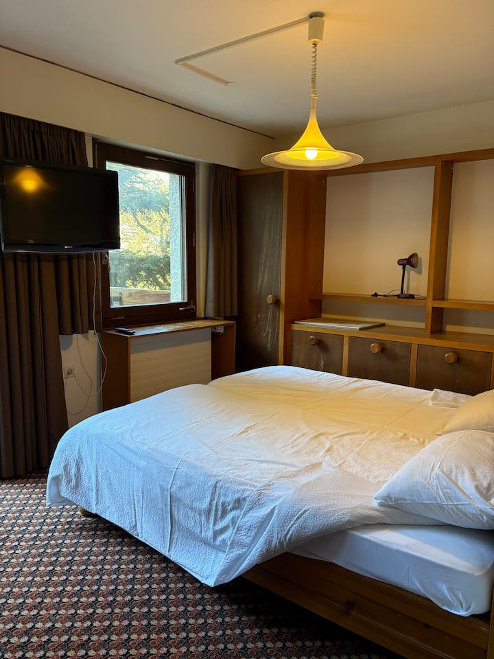 The Vintage : Studio Avec Balcon - Sierre