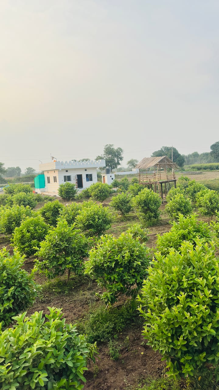 Sukoon Estate: Nature Castle W/ Private Pool - Madhya Pradesh