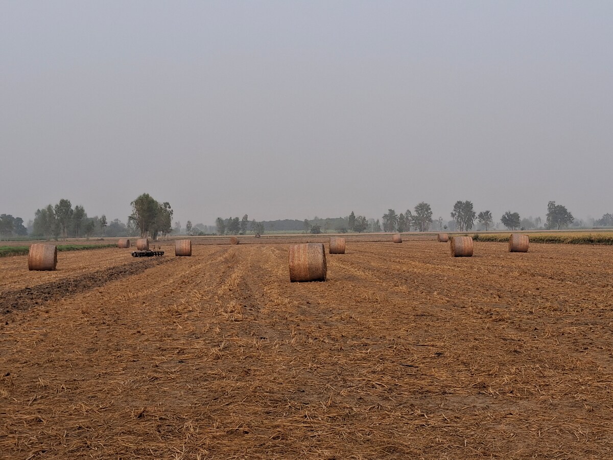 Tendua Farm Stay - Farm stays for Rent in Puranpur, Uttar Pradesh ...